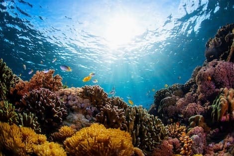 12-Day Nile Cruise And Red Sea Stay Holiday [+ Cairo Tours]