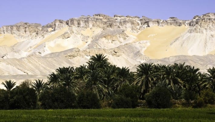 The Dakhla Oasis – An Amazing Egyptian Tropical Paradise