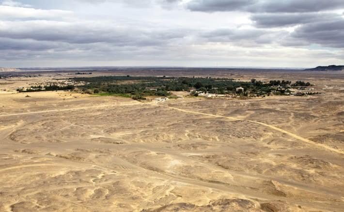 Bahariya Oasis Tour – Discover a Land where Dinosaurs Roamed